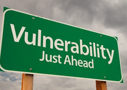 Vulnerability: What Does it Mean to be Vulnerable? – Pursue You